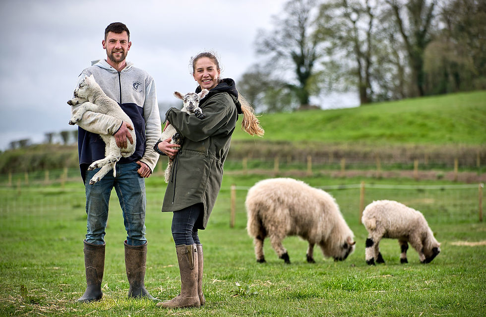 About | Lower House Farm