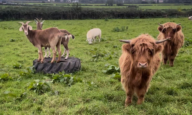 Contact | Lower House Farm