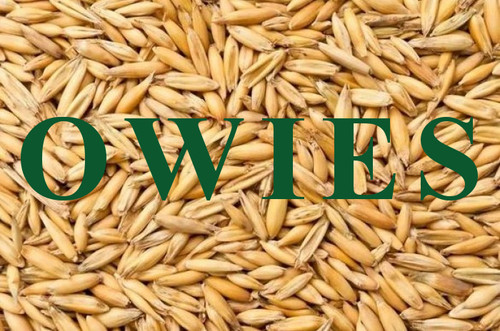 OWIES ZIARNO NASIONA OWSA 1020 KG | OPAŁ I OGRZEWANIE