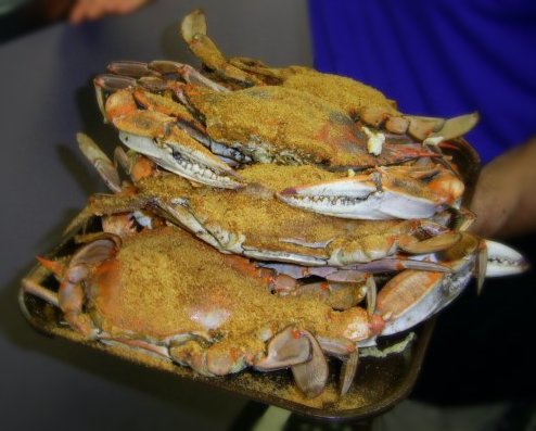 ABOUT | the-surfing-crab