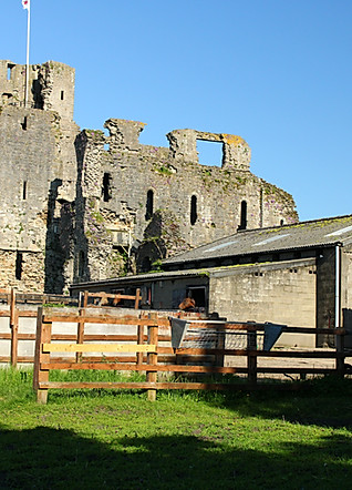 About | Ben Haslam Racing