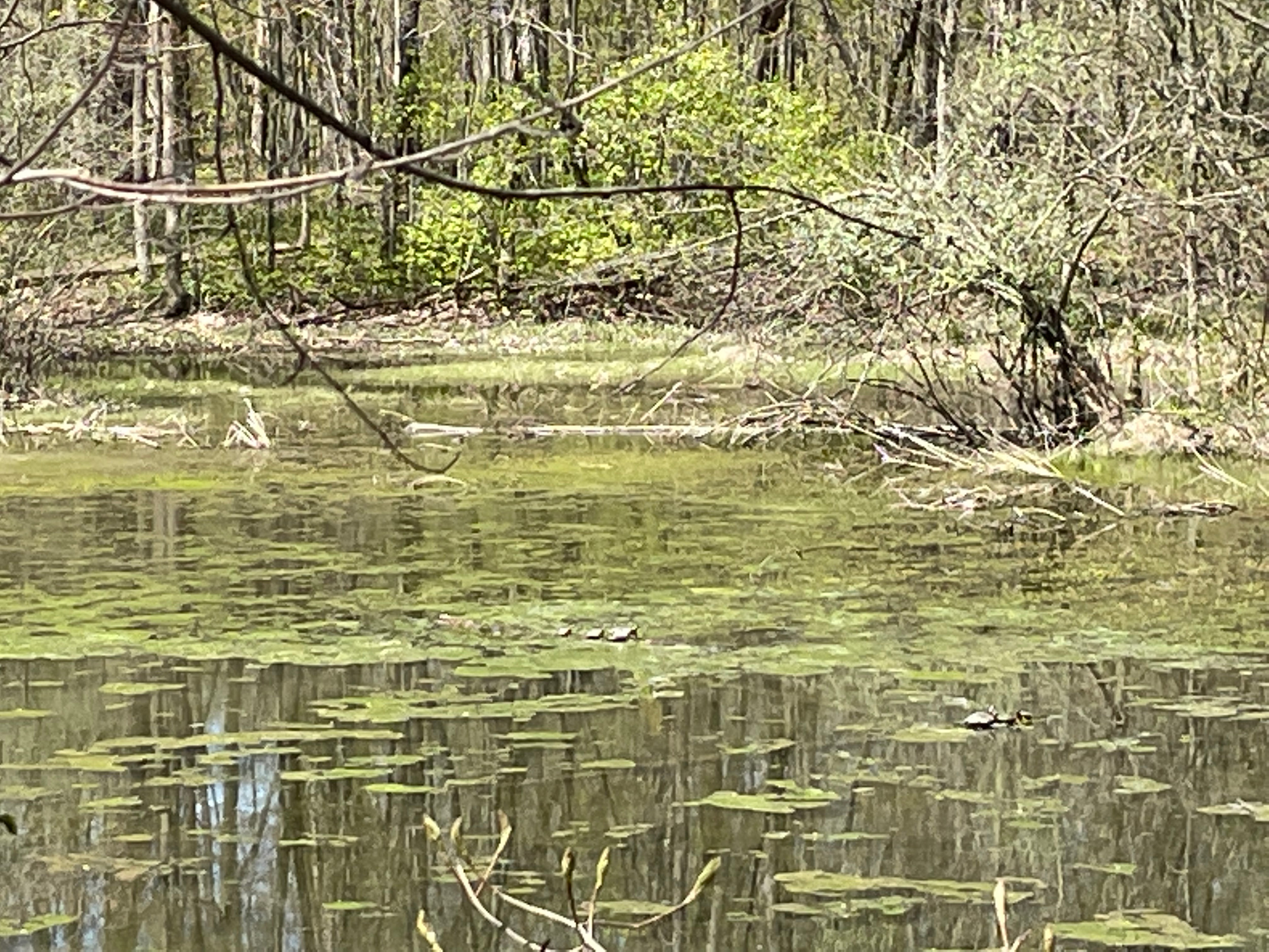 CITIZEN SCIENCE | Field Station