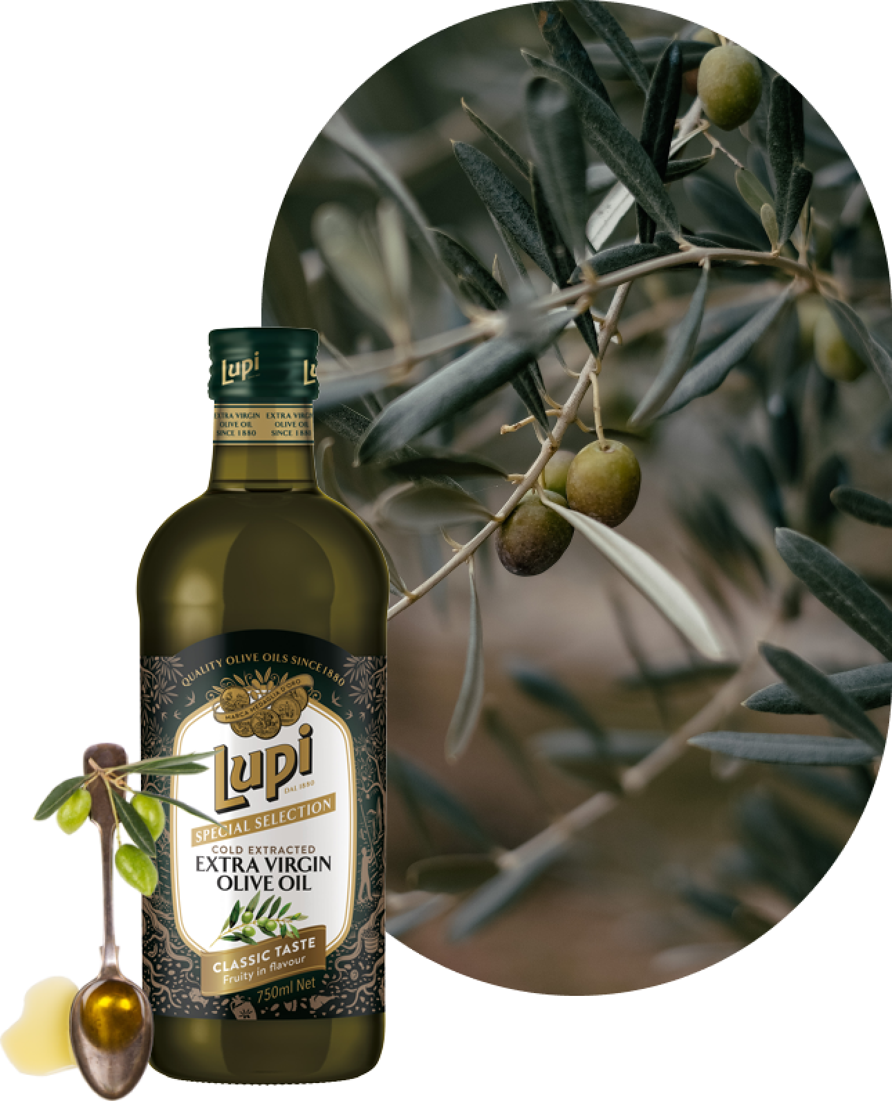 Lupi Olive Oil