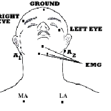 Electroencephalography (EEG) | CSMA - Houston and Austin