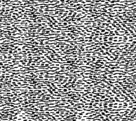 Yiran Xu | Portfolio