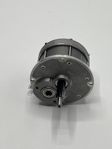 Tongsheng Motor guts | Johnny Nerd Out