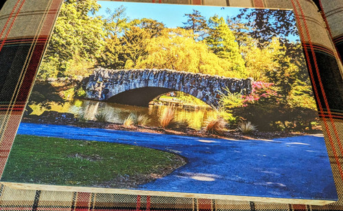 Turtle Bridge | The World We See