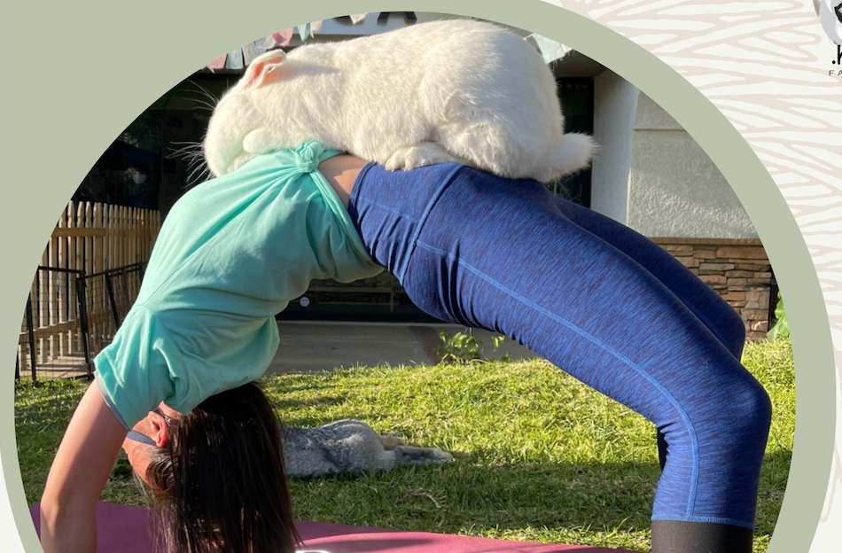 Bunny Yoga | Childhood Matters