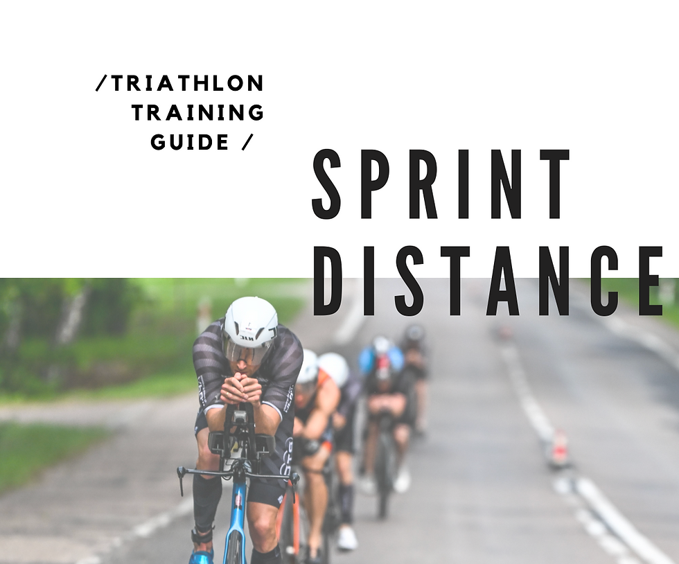 SPRINT DISTANCE PLAN | APB