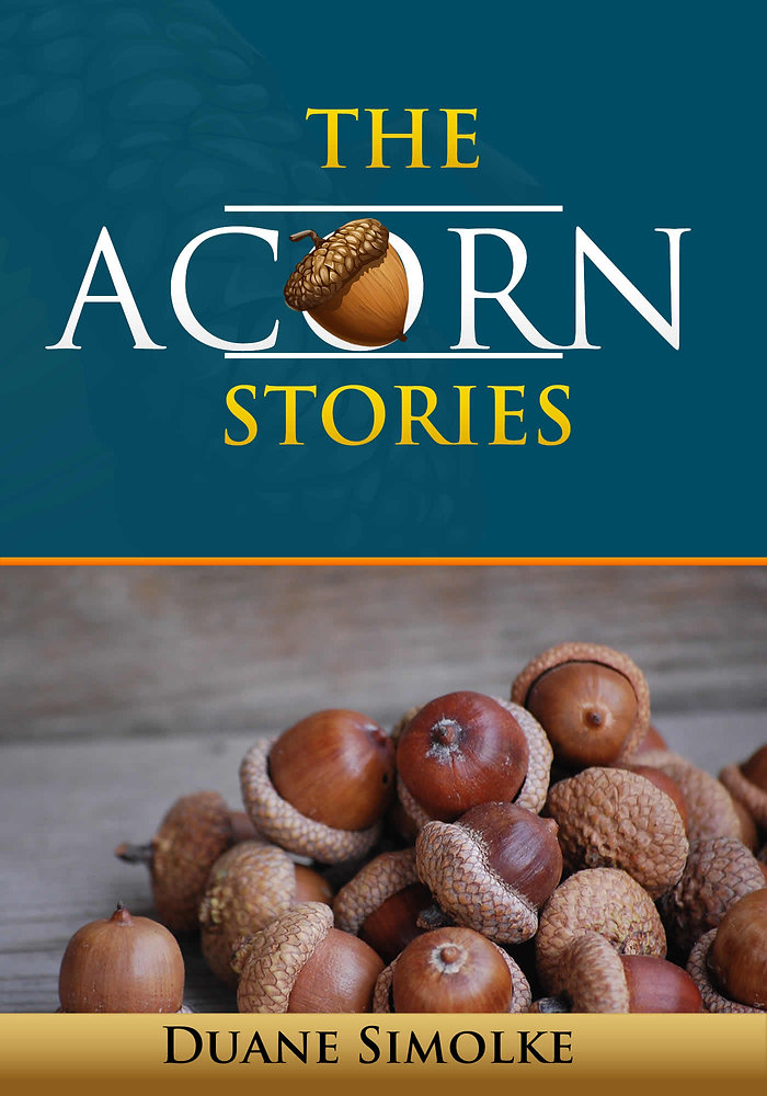 The Acorn Stories by Duane Simolke is a recommended read #fiction # ...