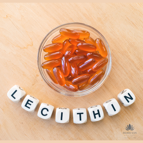 Lesitin Soya ve Ayçiçek (Lecithin Soya And Sunflower) | merihsan