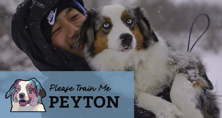 ABOUT US | Please Train Me Peyton