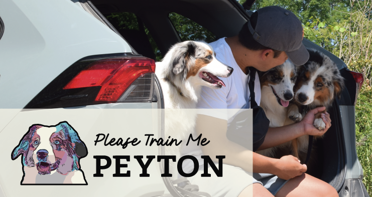 HOME | Please Train Me Peyton
