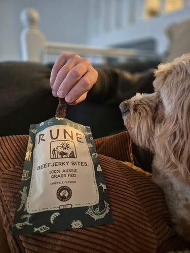 RUNE Beef Jerky Bites - Chipotle | Wild Antler Outdoors