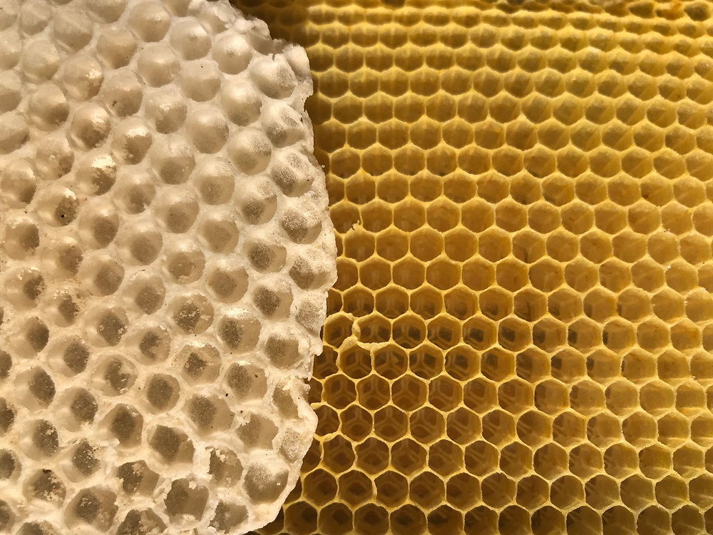 Are small cell bees better?