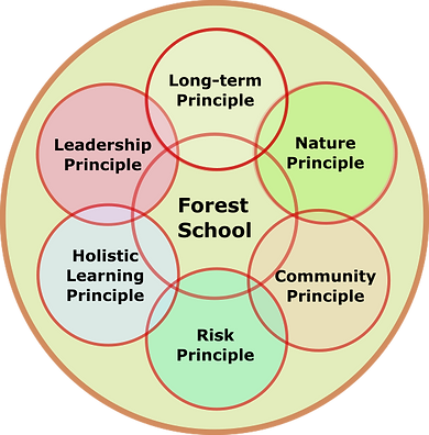 6 Principles and Wild Warrior Award | Wild Warrior Edu