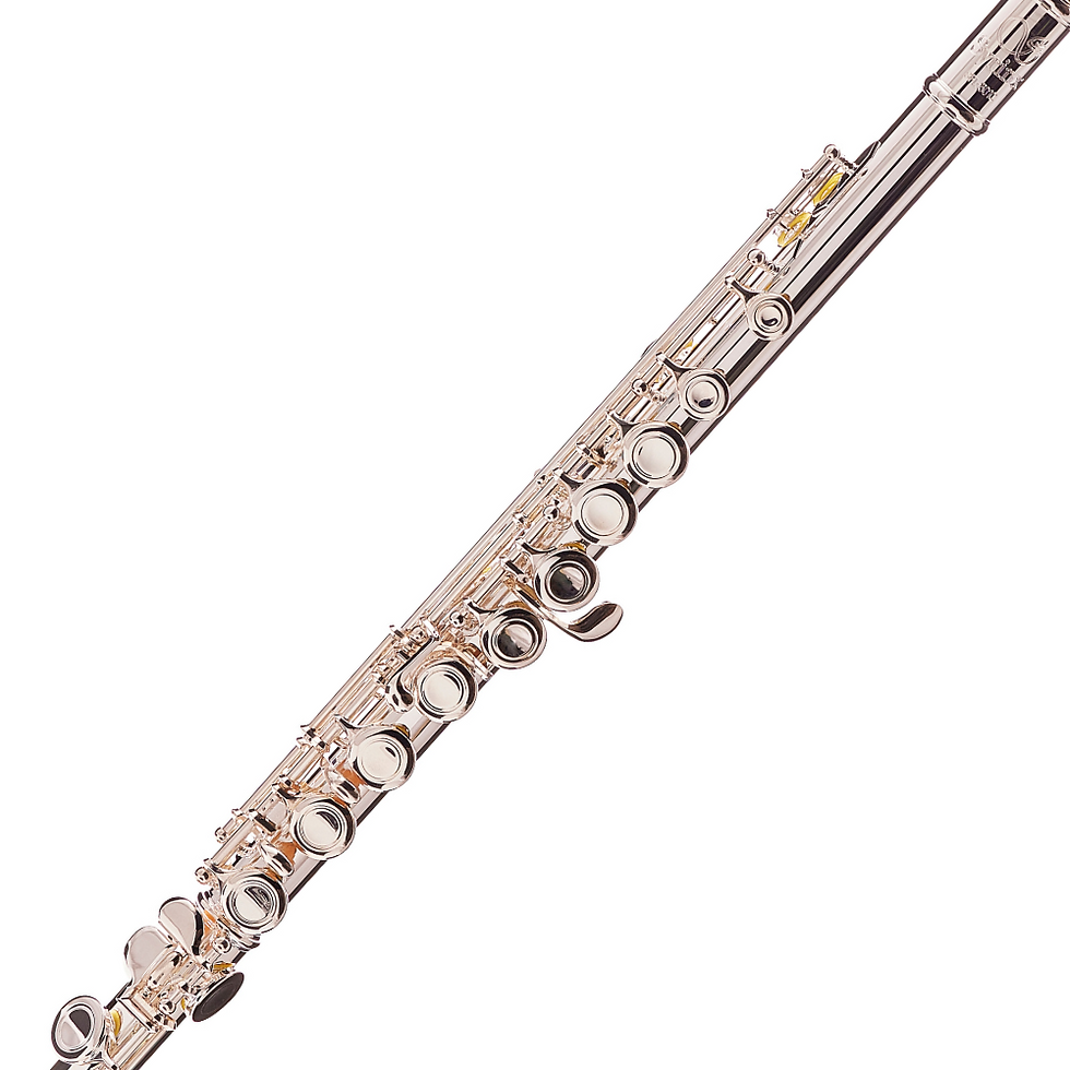 Flutes & Piccolos | Syrinx Musical Instruments