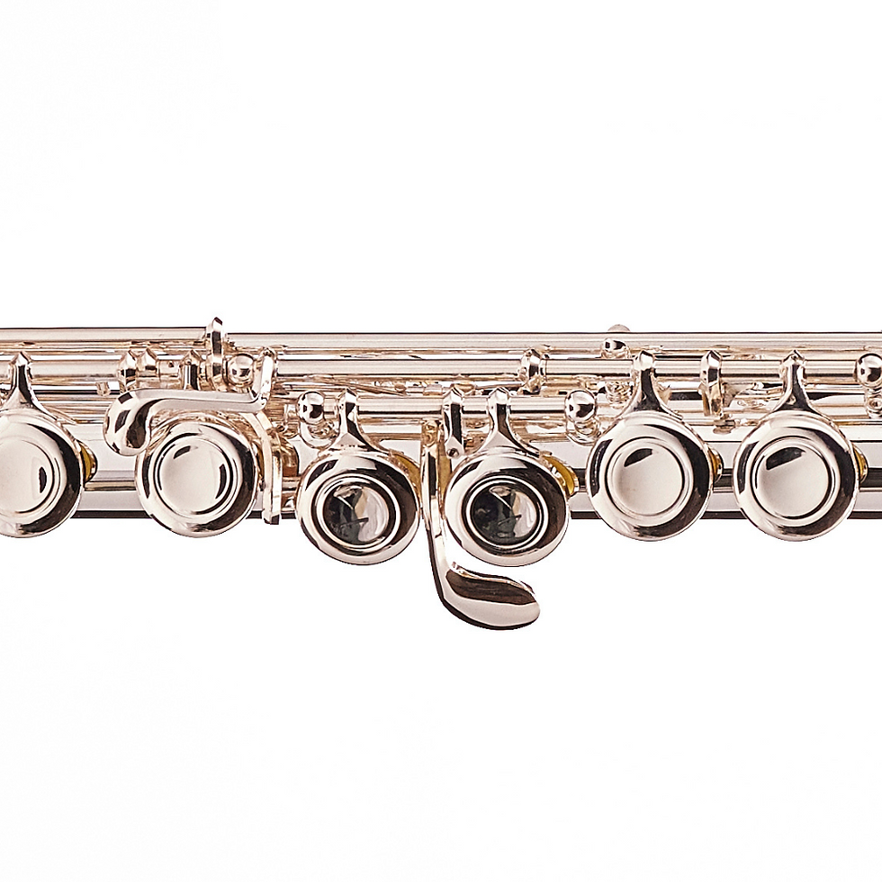 Flutes & Piccolos | Syrinx Musical Instruments