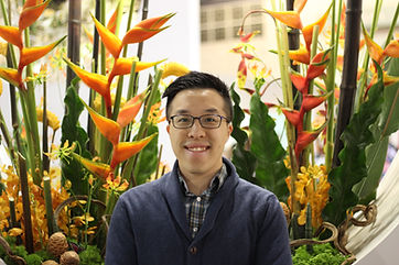 Dr. Terence Yee | Clarity and Insight