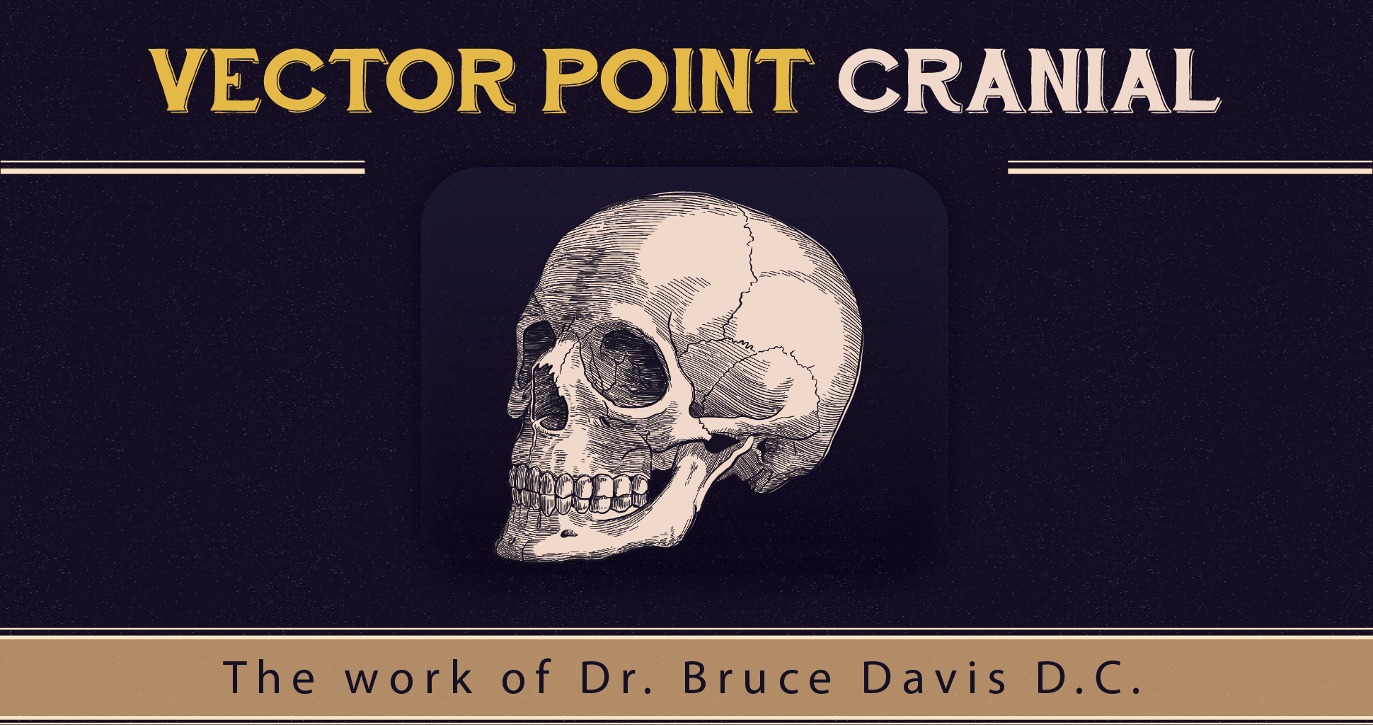About | Vector Point Cranial