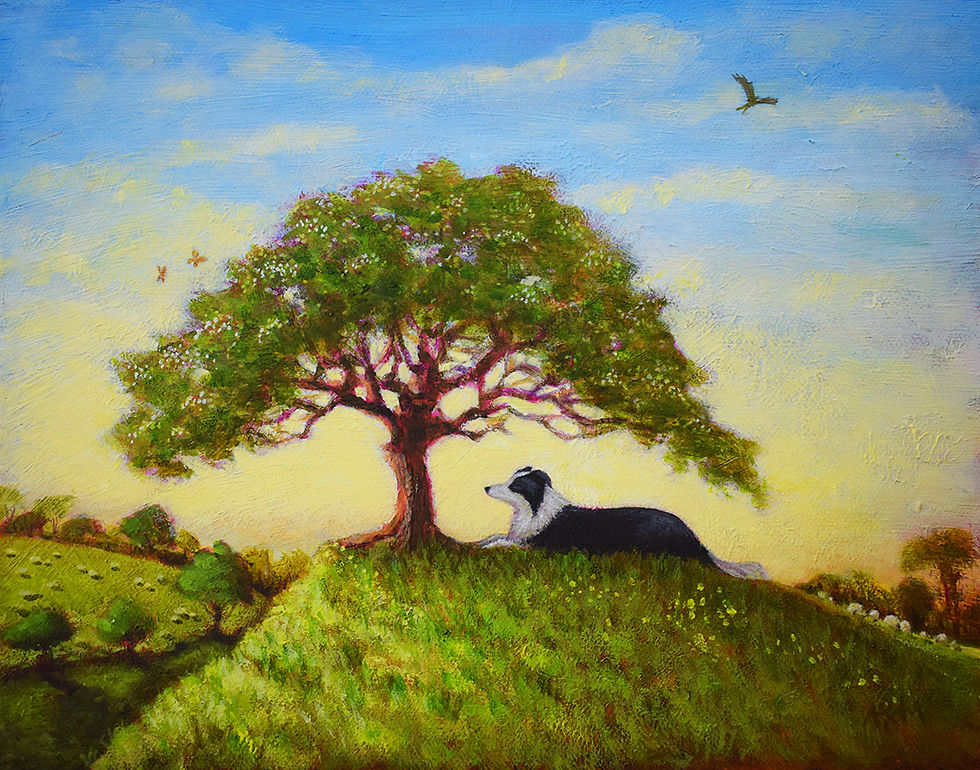 Archive | Oriel Mimosa