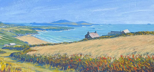 Overlooking Whitesands Bay | Oriel Mimosa