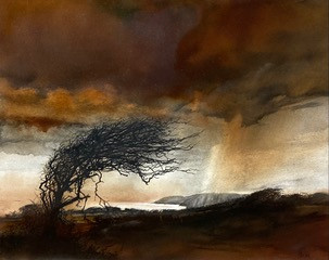 Windswept, Lydstep Head | Oriel Mimosa