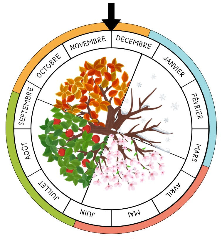 LE RITUEL DE LA DATE