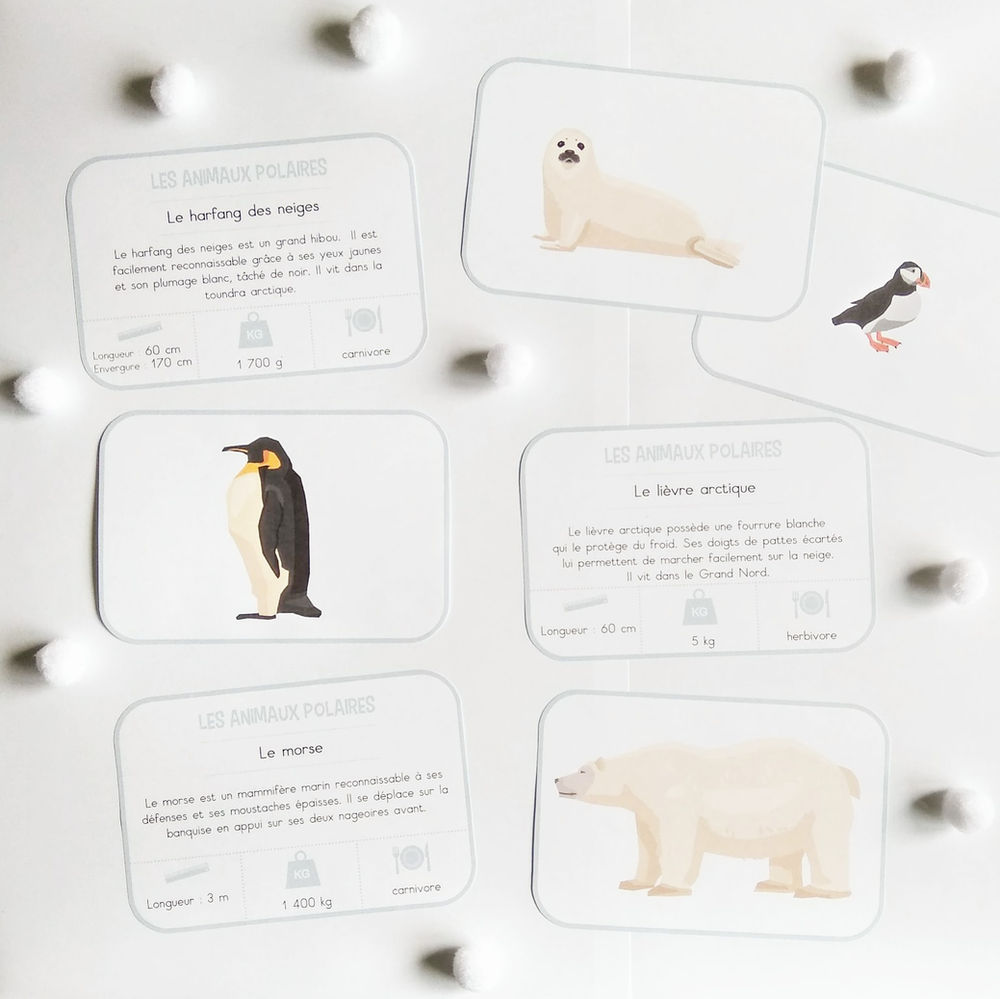 LES ANIMAUX POLAIRES