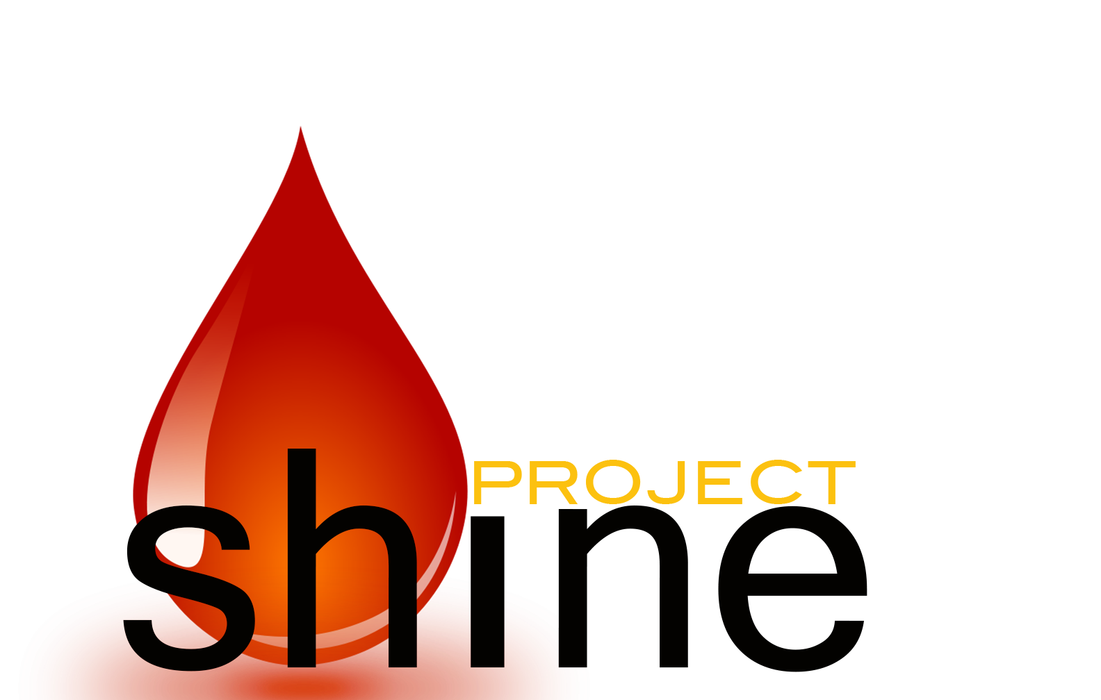 project SHINE