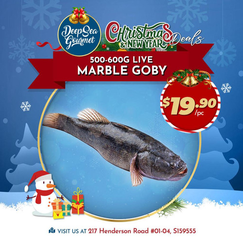 Marble Goby (Soon Hock) | 笋壳鱼 | Deep Sea Gourmet