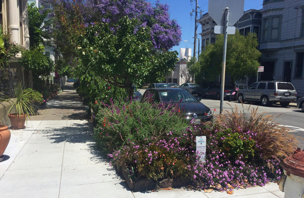 Treeless Streets Can Get Greener