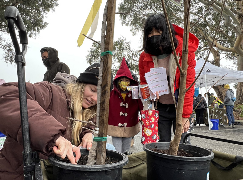 Our New Adopt A Yard Tree Program