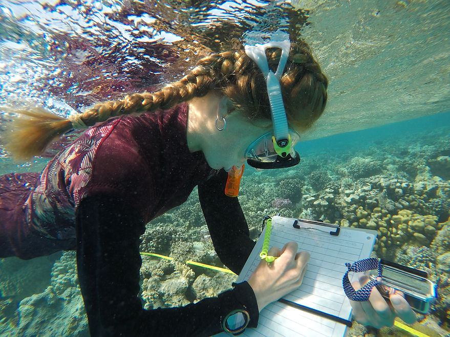 Red Sea Project | Marine Conservation | Environmental Education | Graz ...