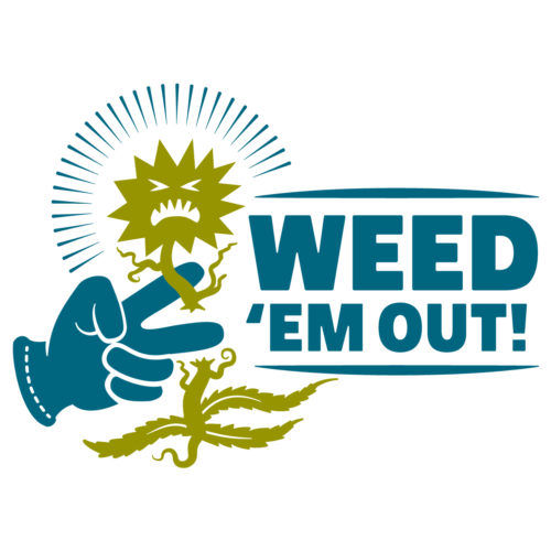 Chelan County Noxious Weed Control Program | CCM