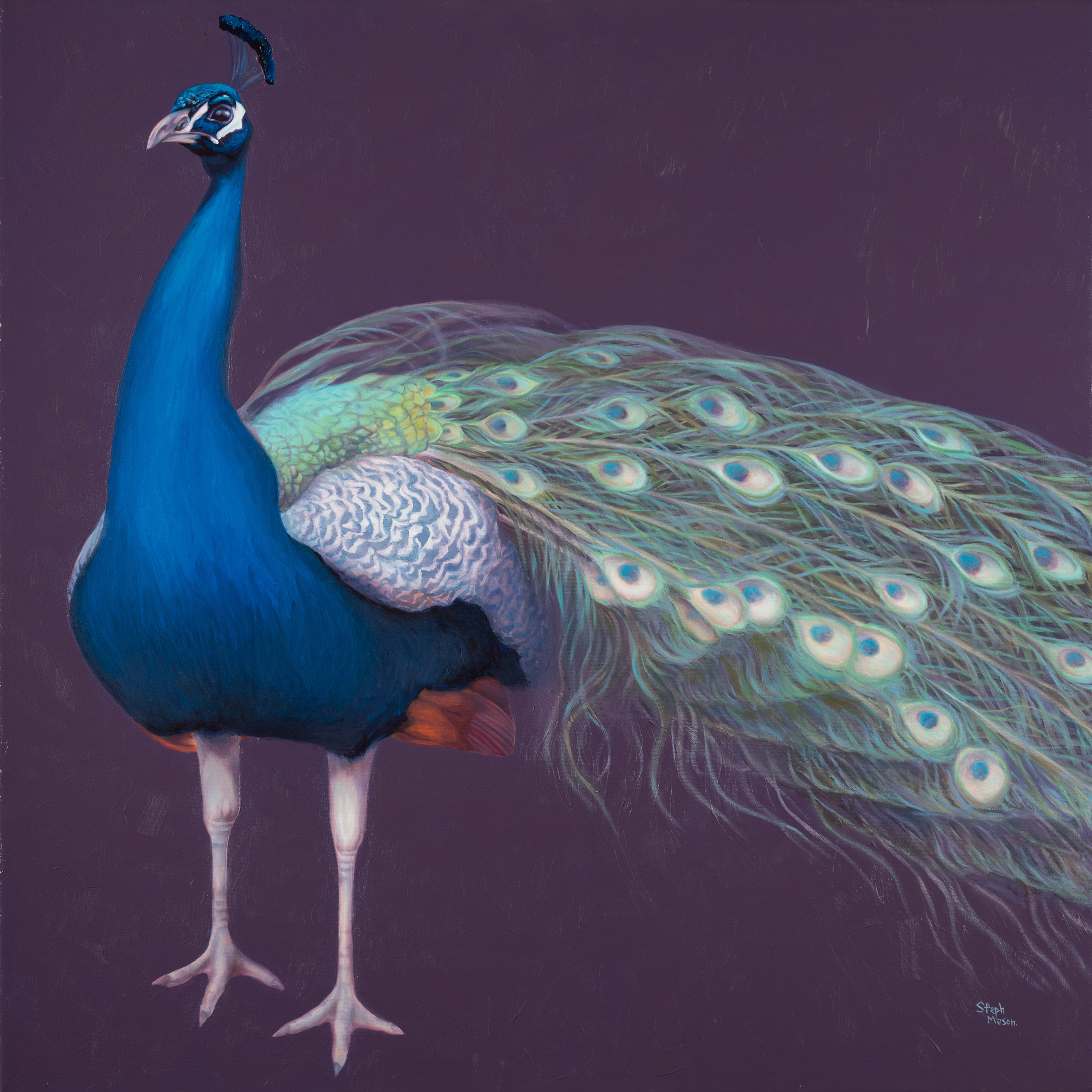 Steph Mason | Nancy Johns Gallery