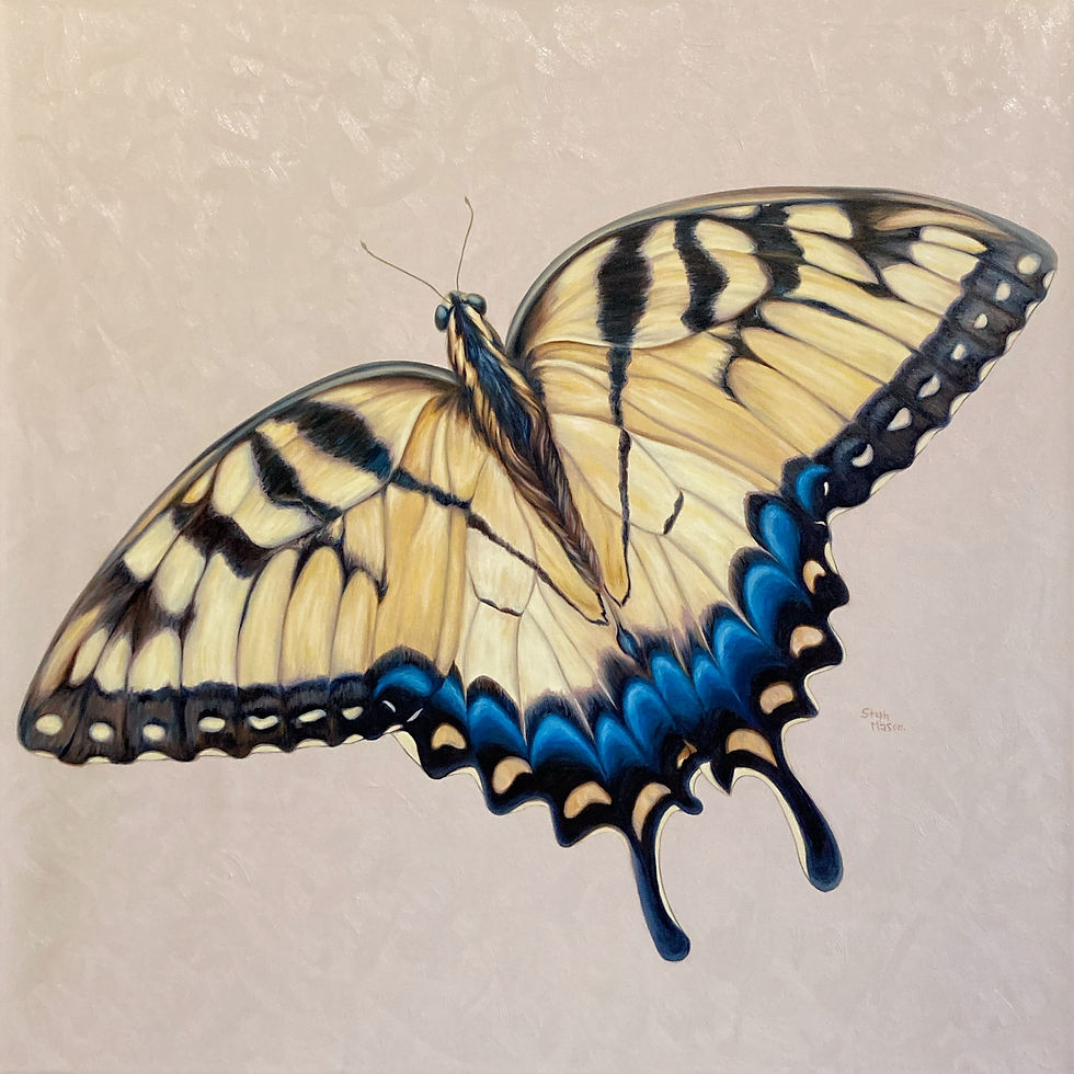 Artist Portfolios | Nancy Johns Gallery