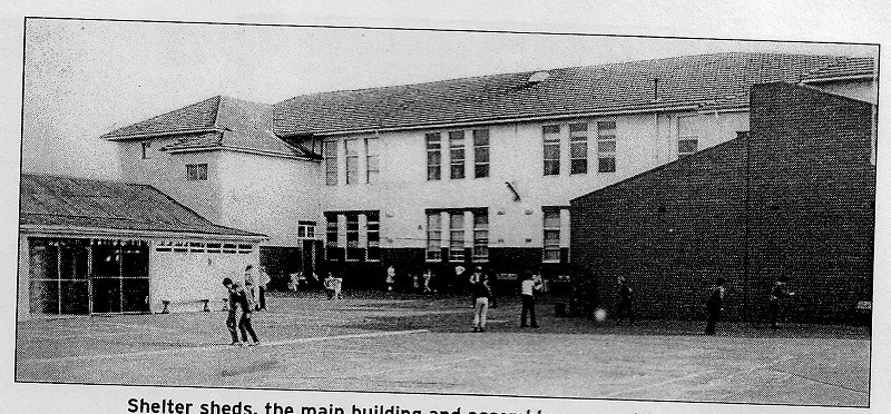 Hughesdale Primary | School History