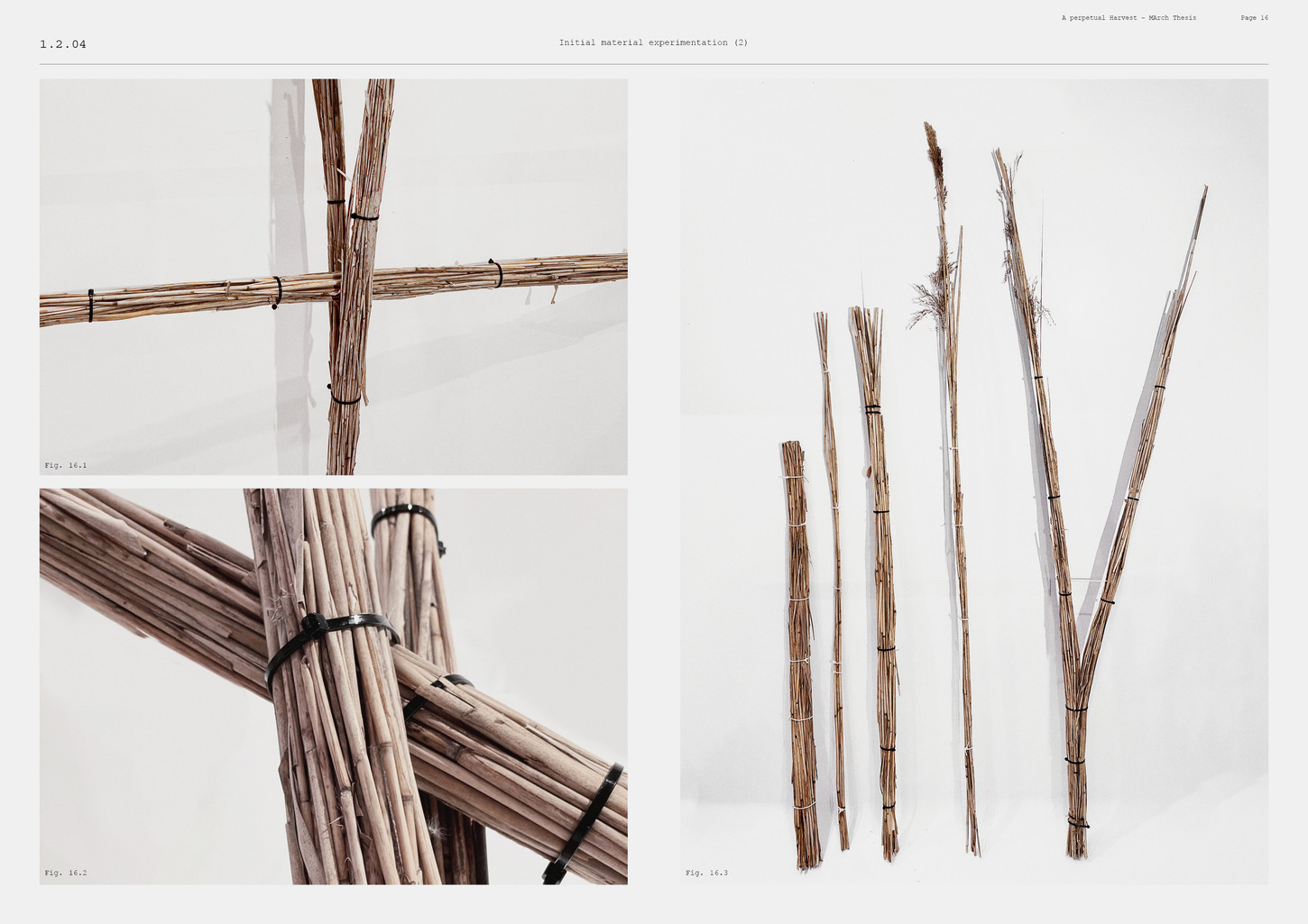 Reed as a building material