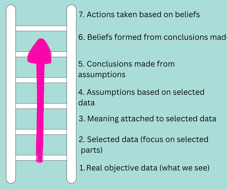 A ladder not to climb... the ladder of inference