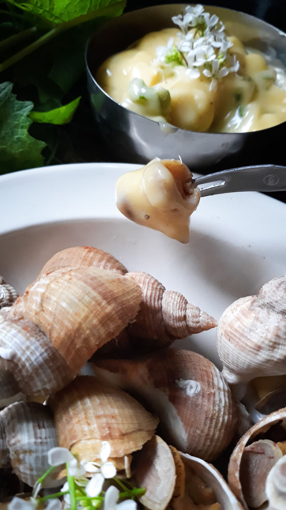 Comment cuisiner des bulots crus