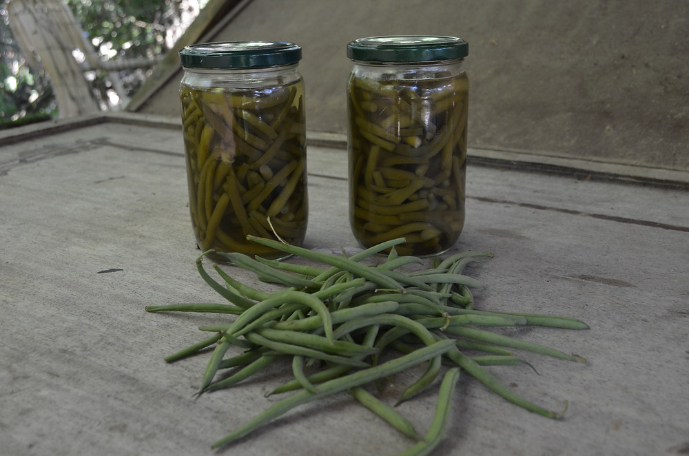 CONSERVES HARICOTS VERTS AU NATUREL