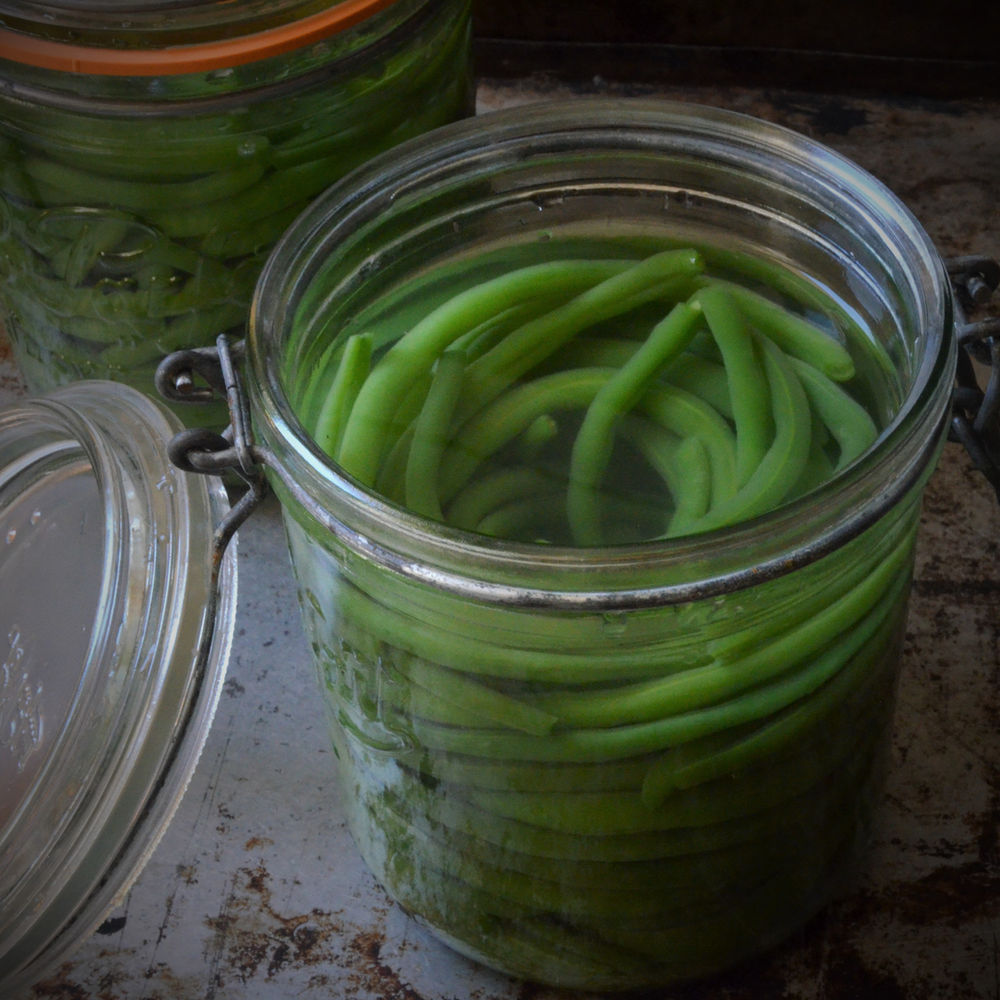 Conserves de Haricots verts du jardin