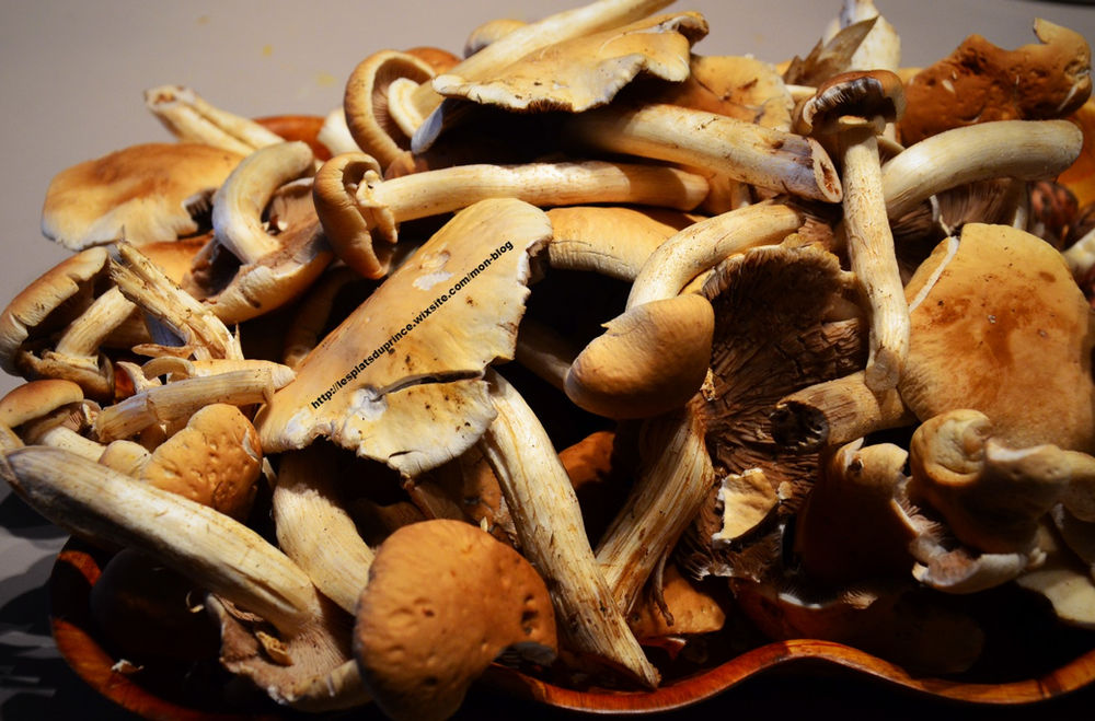 Conserves de champignons au vinaigre