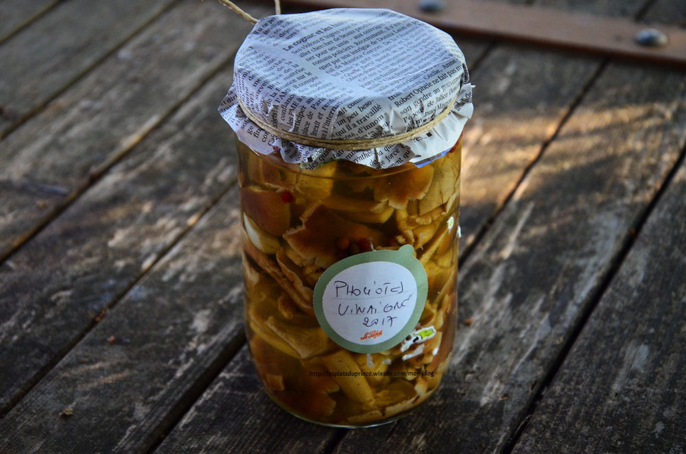 Conserves de champignons au vinaigre
