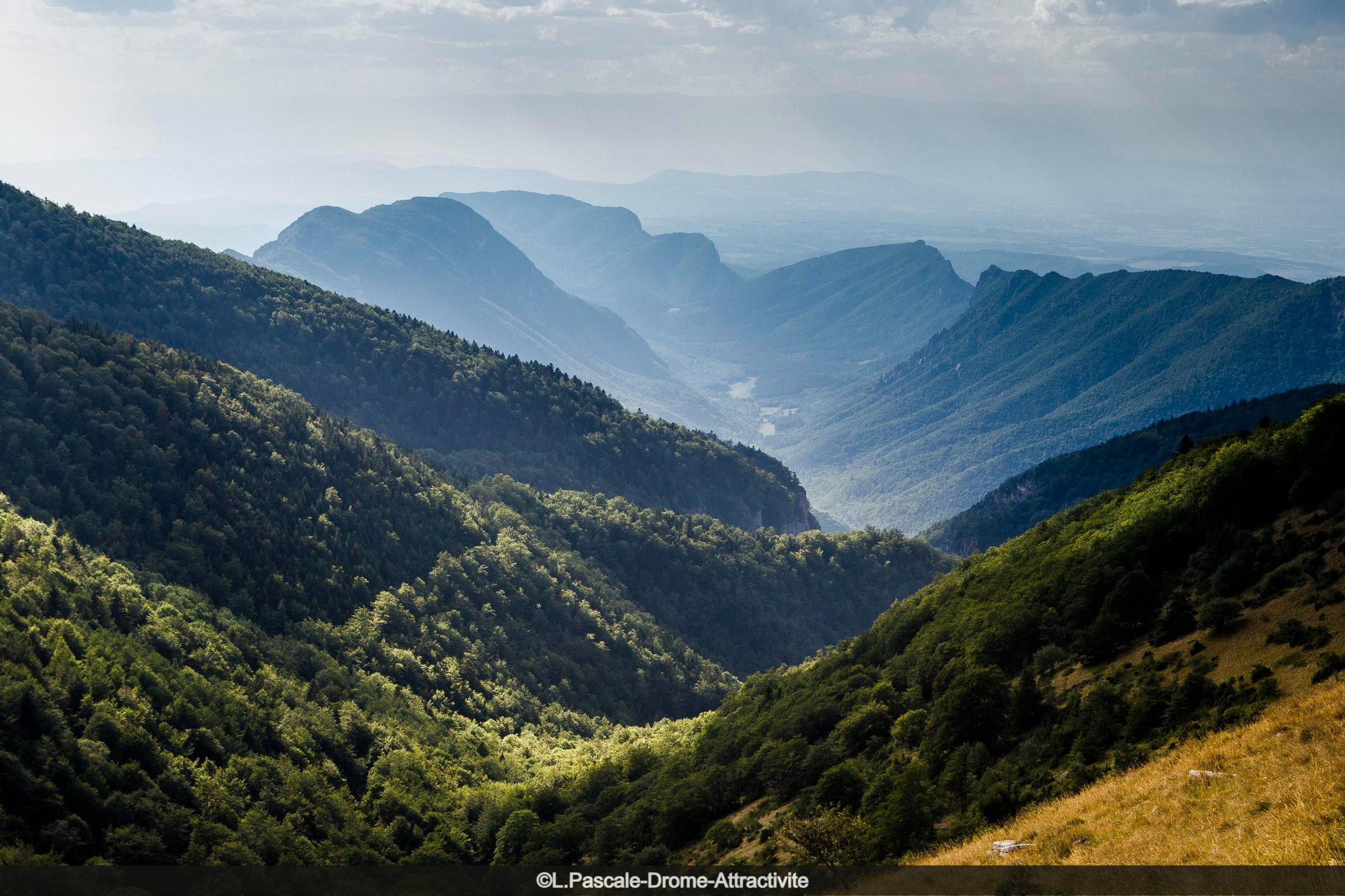 🌳 The Saoû Forest ⛰️