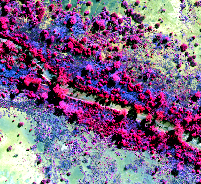 Seeing Beyond the Visible: A Practical Guide to Multispectral Drone Imagery