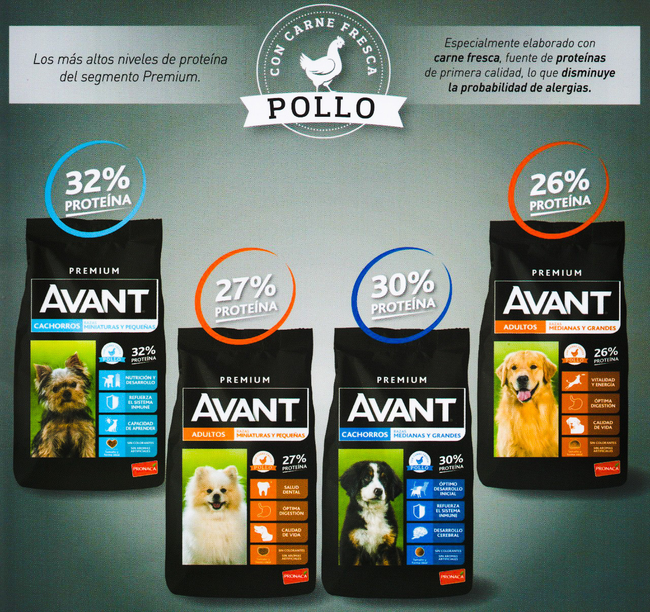 Alimento Premium Avant | DAG Cía. Ltda. | Quito