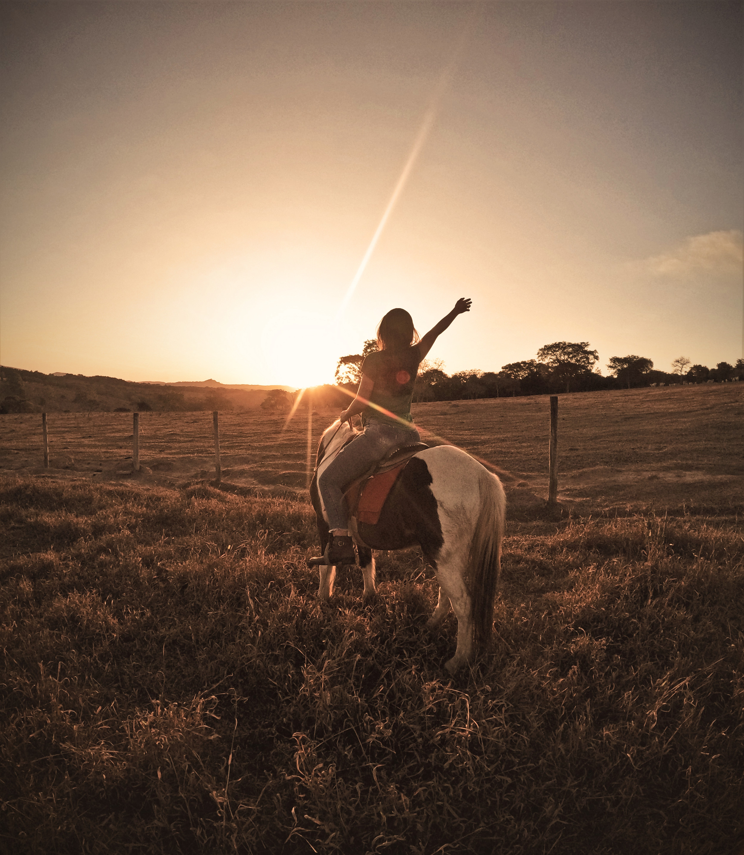 Experience Add-Ons | Rocking R Guest Ranch