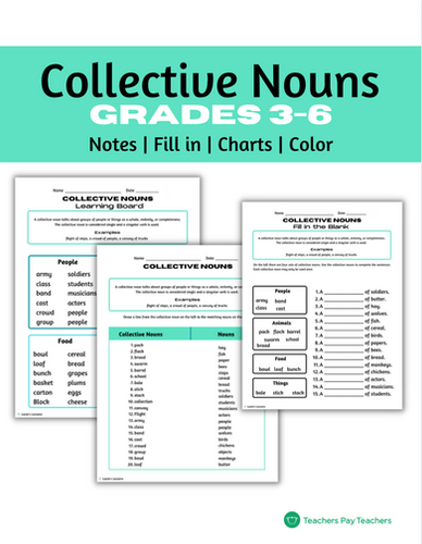 Understanding Collective Nouns | Lovie's Lessons